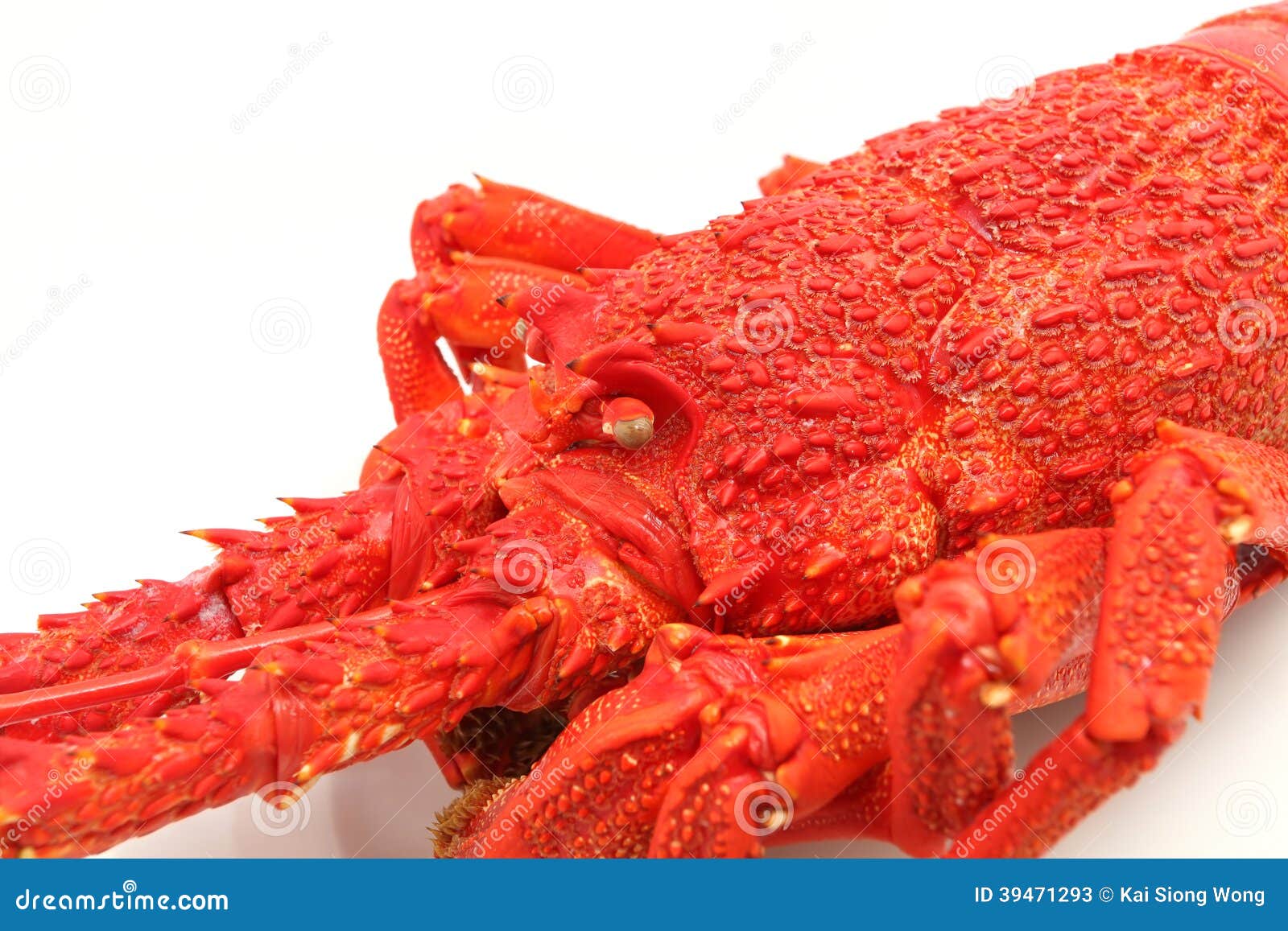 Lobster stock image. Image of cooked, lobster, meat, luxury - 39471293