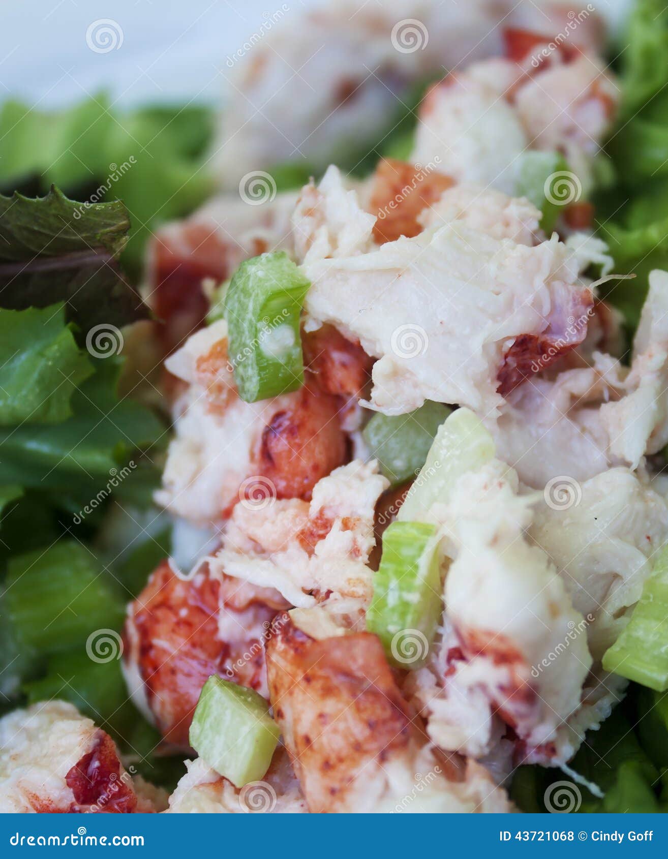 361 Cod Roll Stock Photos - Free & Royalty-Free Stock Photos from ...