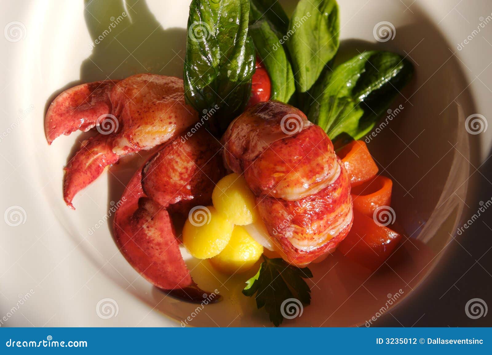 Lobster salad stock photo. Image of fine, fish, food, menu - 3235012