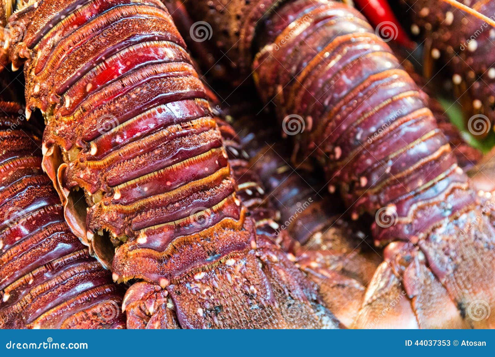 Lobster tails stock image. Image of people, market, macro - 44037353