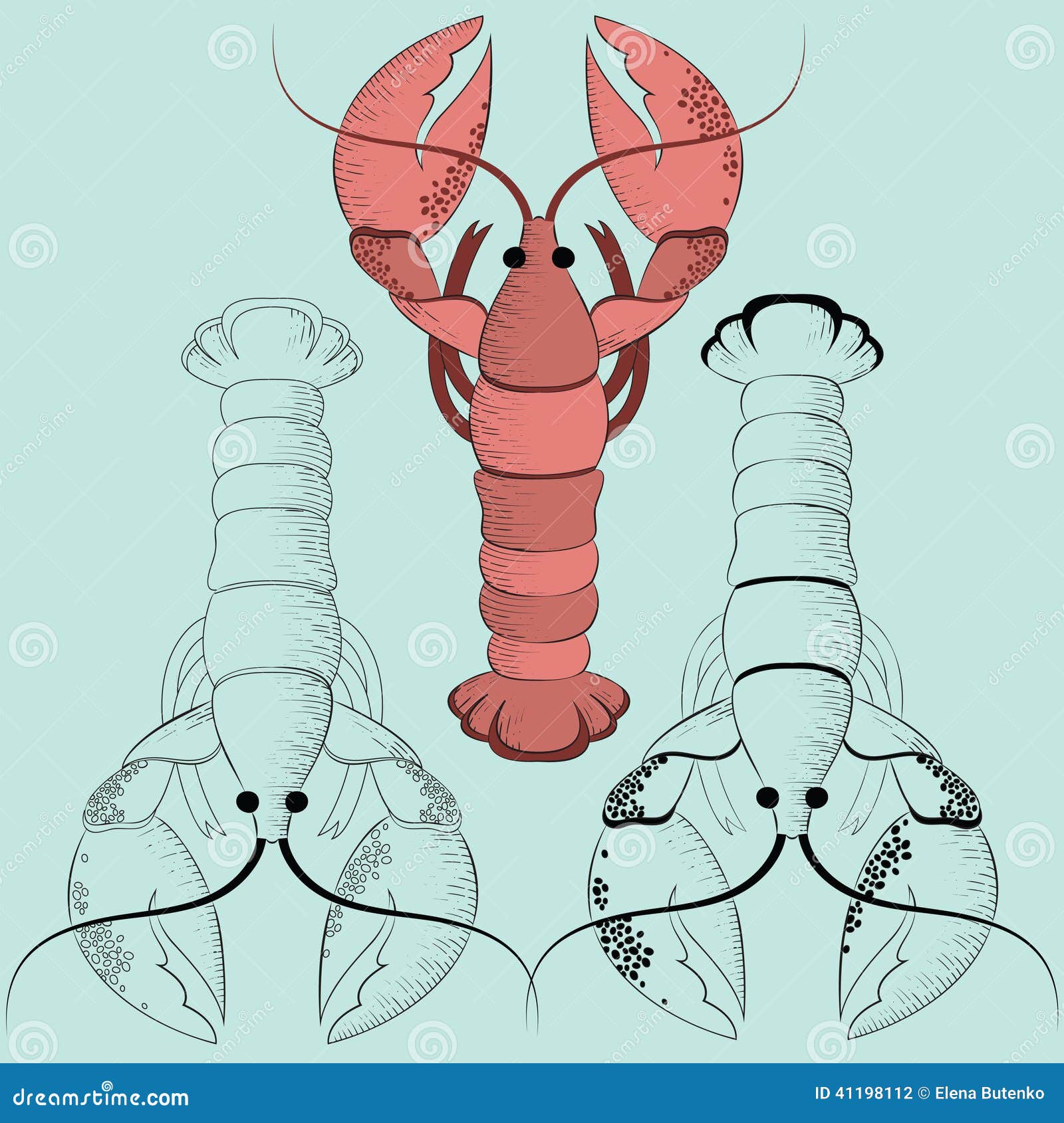 Lobster stock vector. Illustration of animal, isolated - 41198112