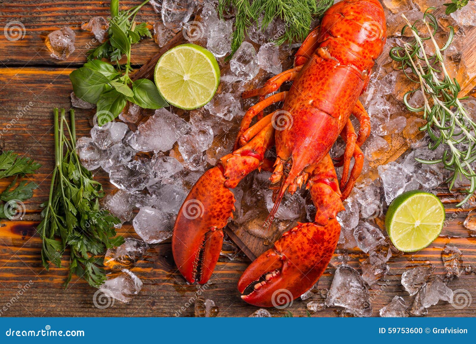 Lobster stock photo. Image of length, lime, rustic, crustaceans - 59753600
