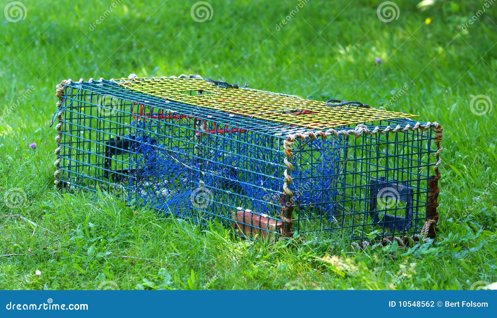 Lobster trap stock photo. Image of brick, trap, openings - 10548562