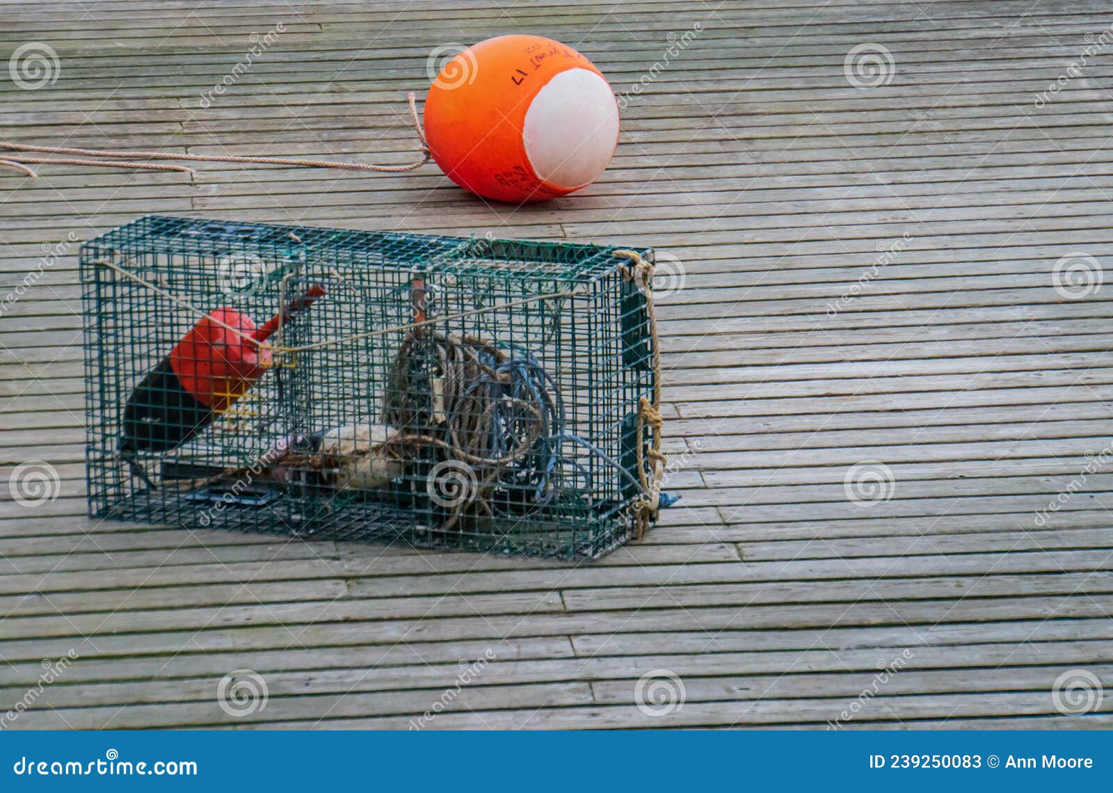 A Lobster Trap and Float on Pier Stock Image - Image of lobster ...