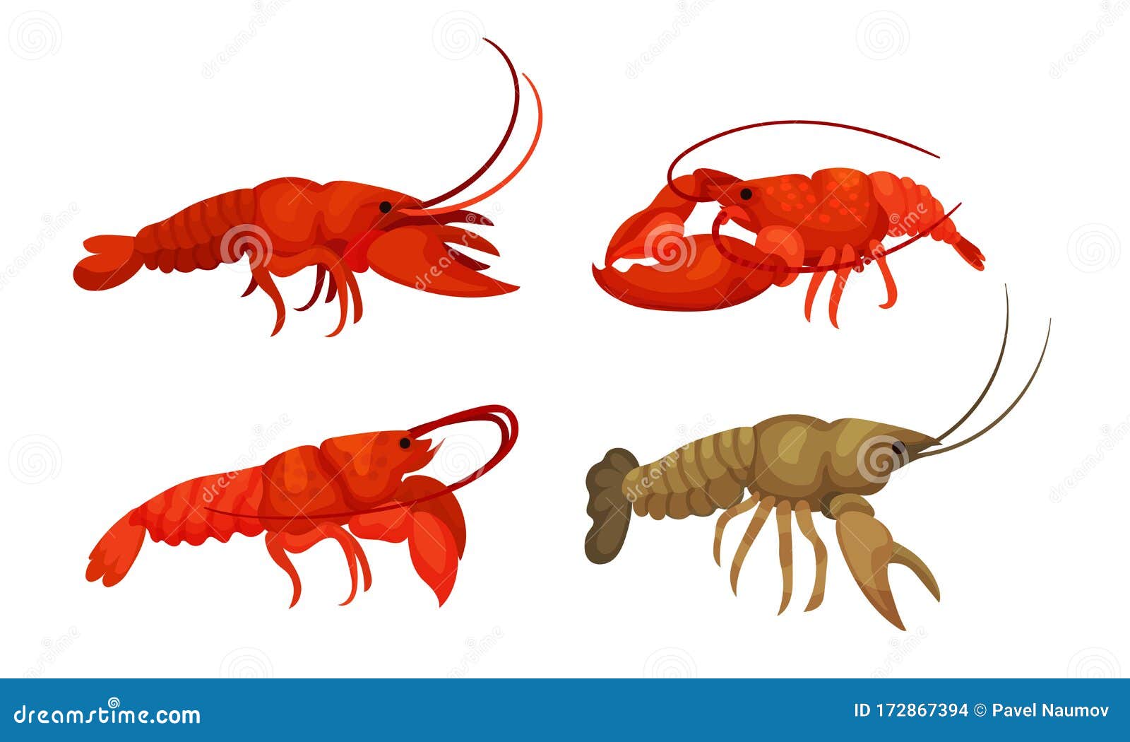 Lobsters with Thick Shell and Strong Chelate Limbs Vector Set Stock ...