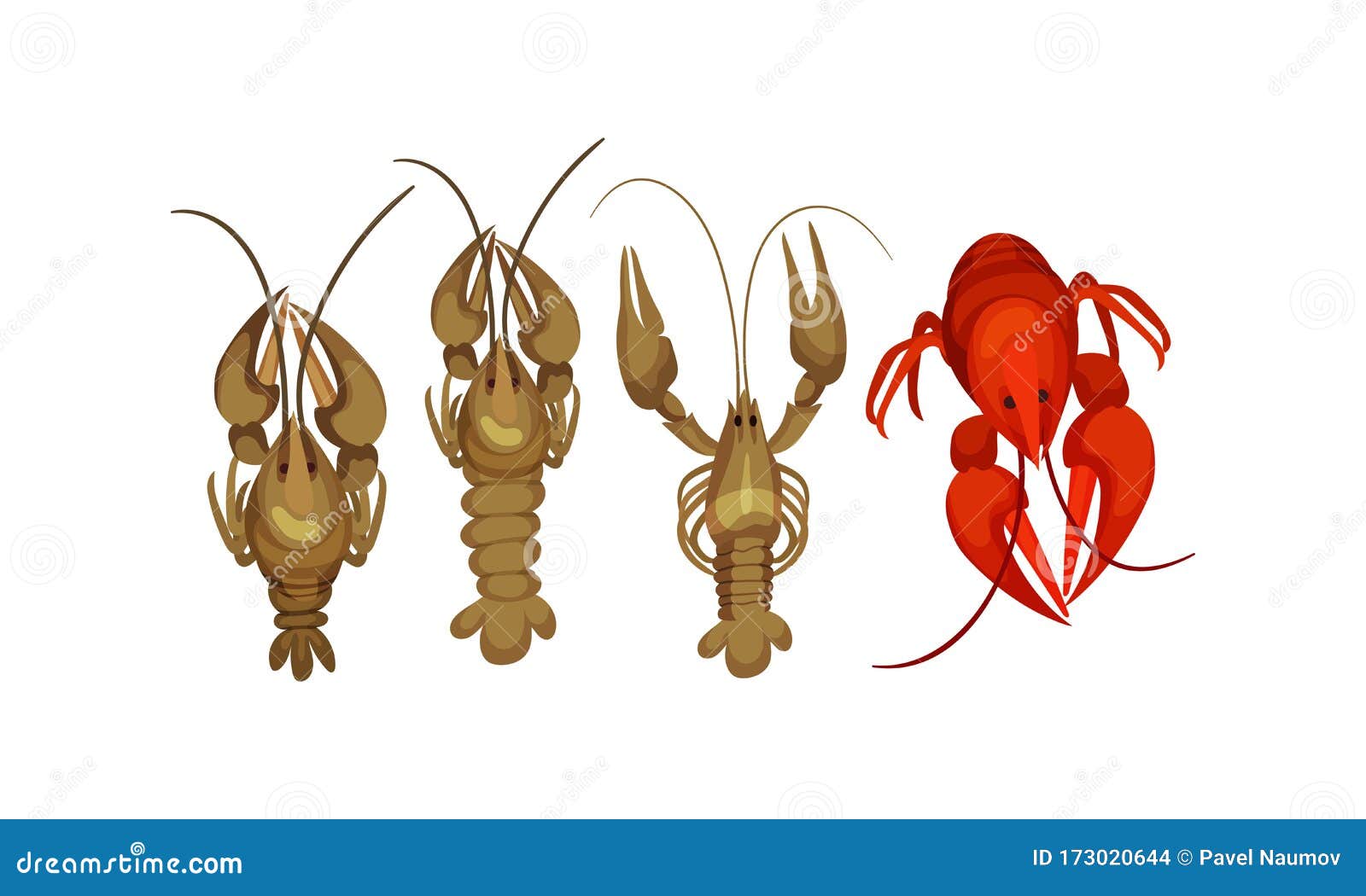 Lobsters with Thick Shell and Strong Chelate Limbs Vector Set Stock ...
