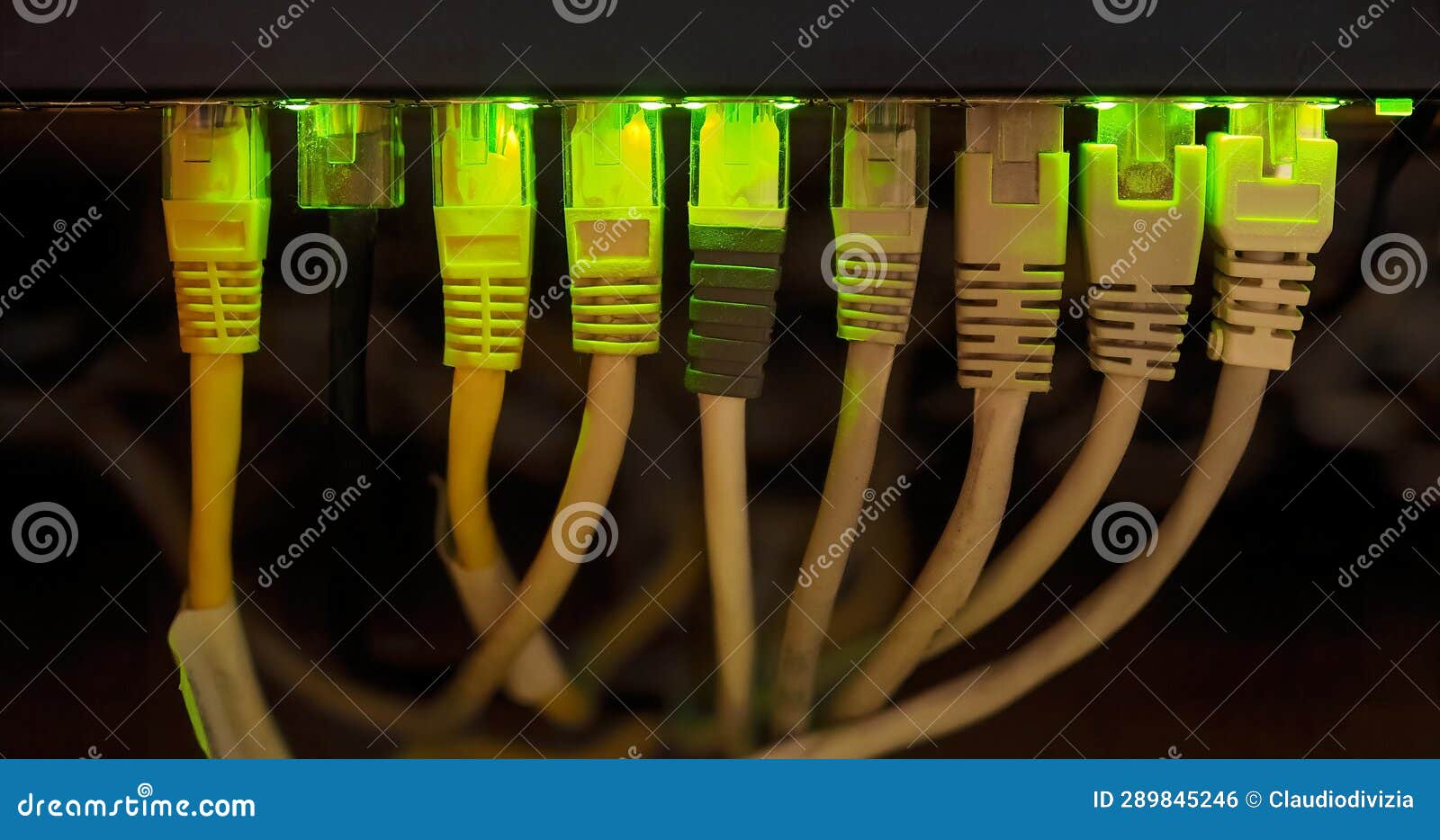 Local area network cables stock photo. Image of plugs - 289845246