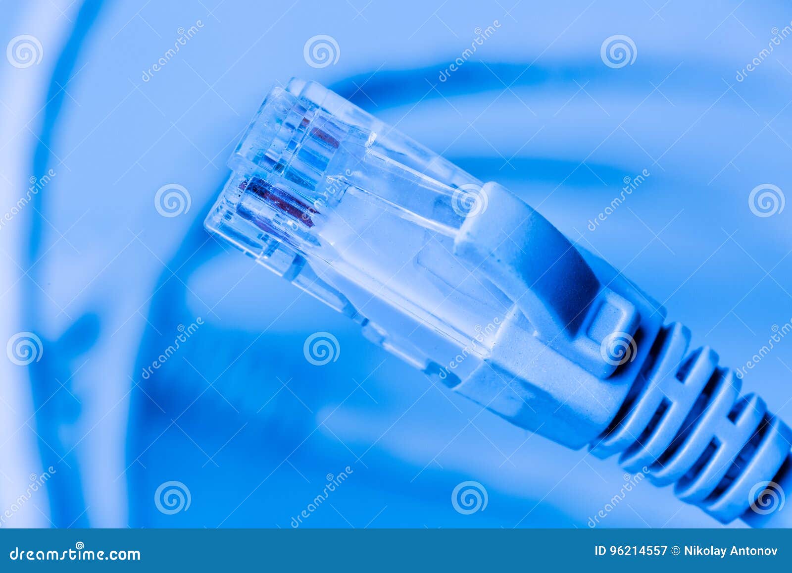 Local Area Network Ethernet Cable Close Up. Blue Filter Stock Image ...