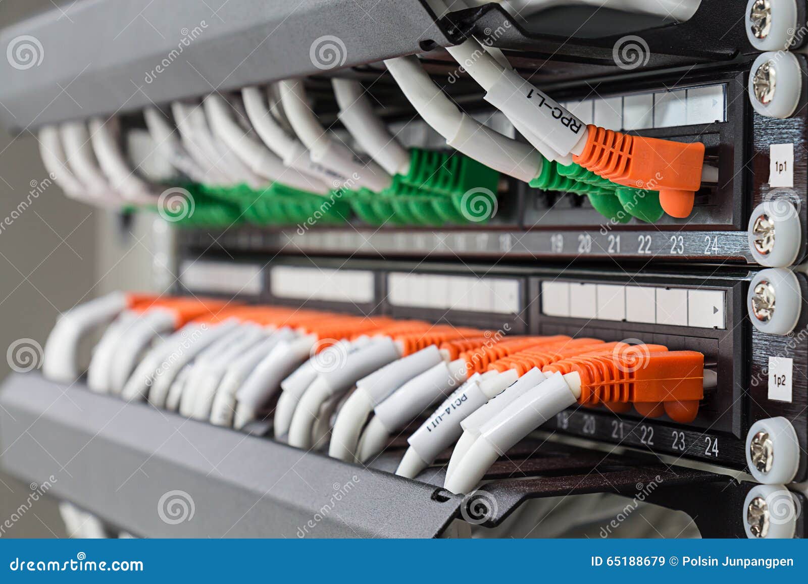 Local Area Network Switch (LAN). Stock Image - Image of bone, cable ...