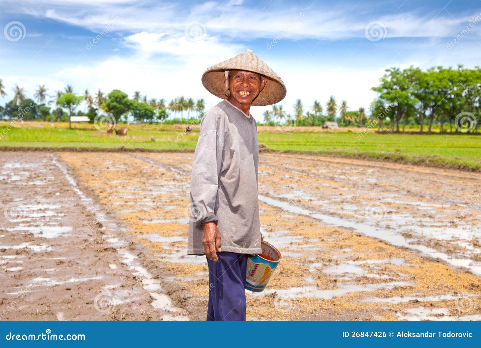 Farmer Sowing Seed Stock Image | CartoonDealer.com #103923517