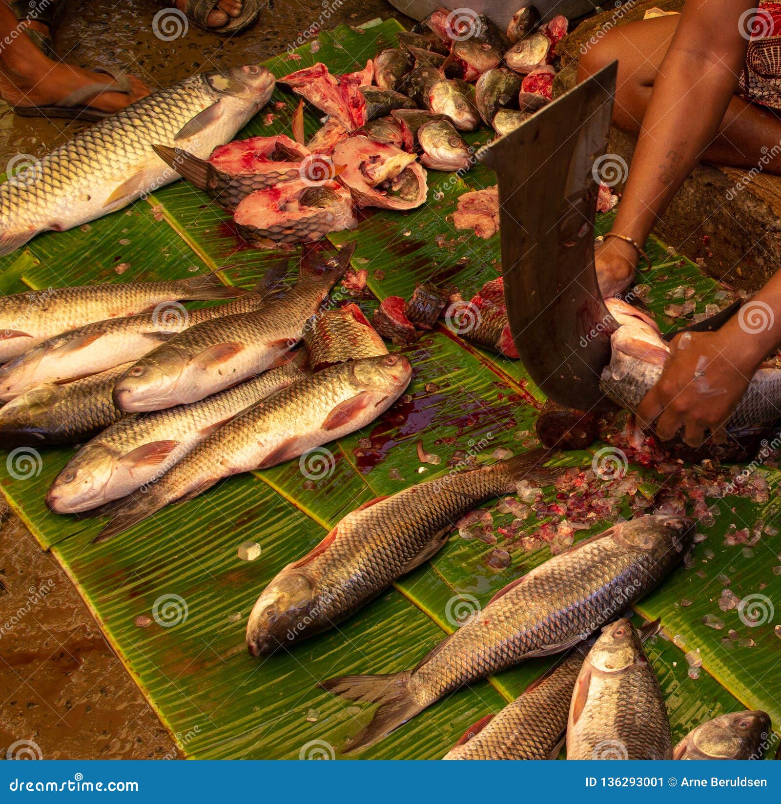 A Local Fish Market in India Stock Image - Image of local, fresh: 136293001