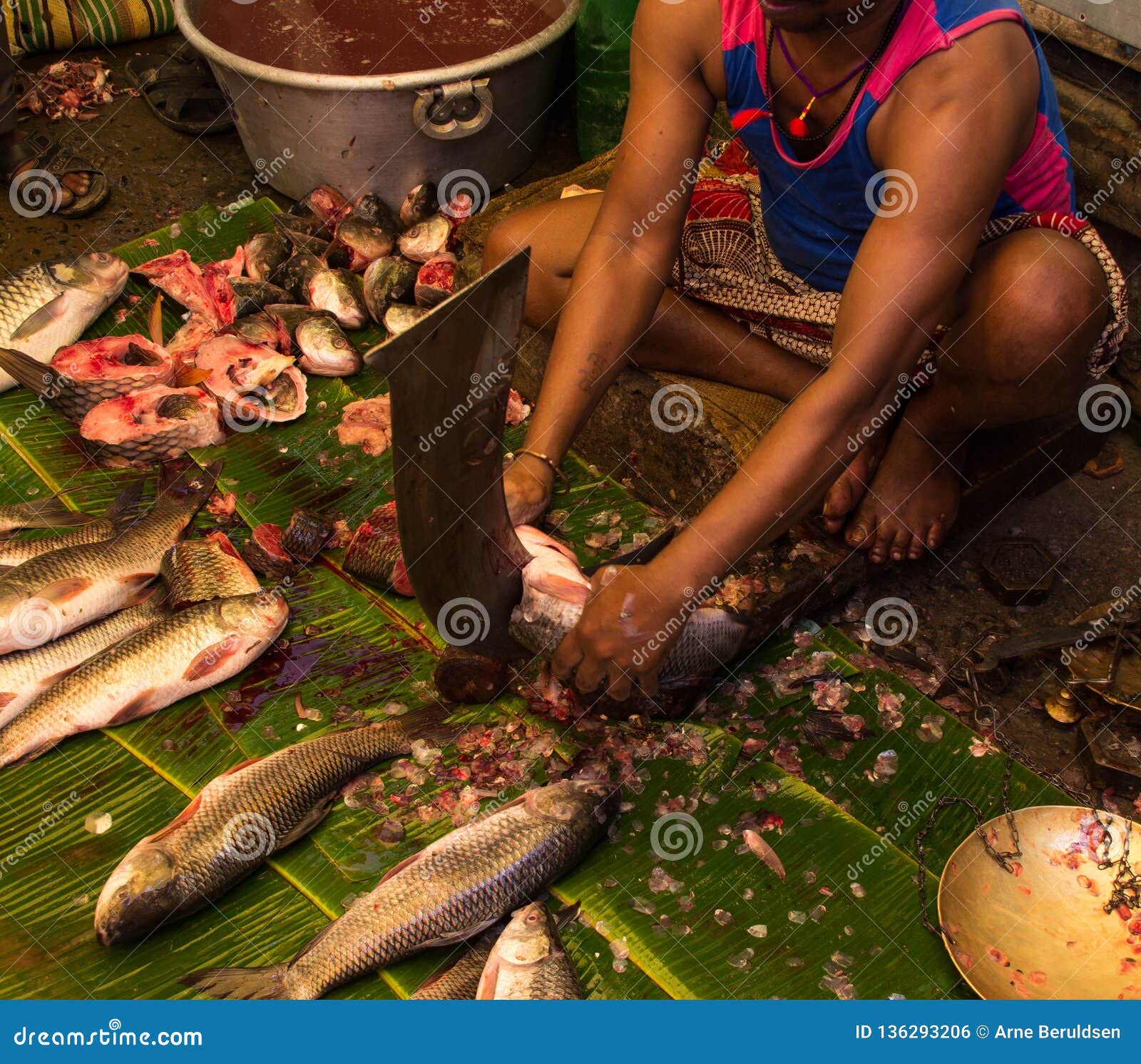 A Local Fish Market in India Stock Photo - Image of street, fish: 136293206