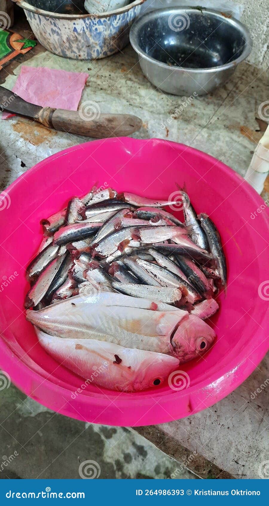 Local Fish is Ready To Cook Stock Image - Image of dish, pink: 264986393
