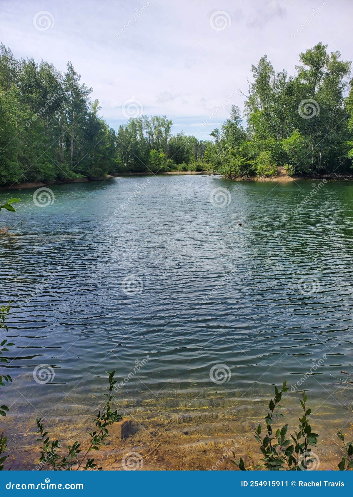 Local fishing pond stock image. Image of wilderness - 254915911