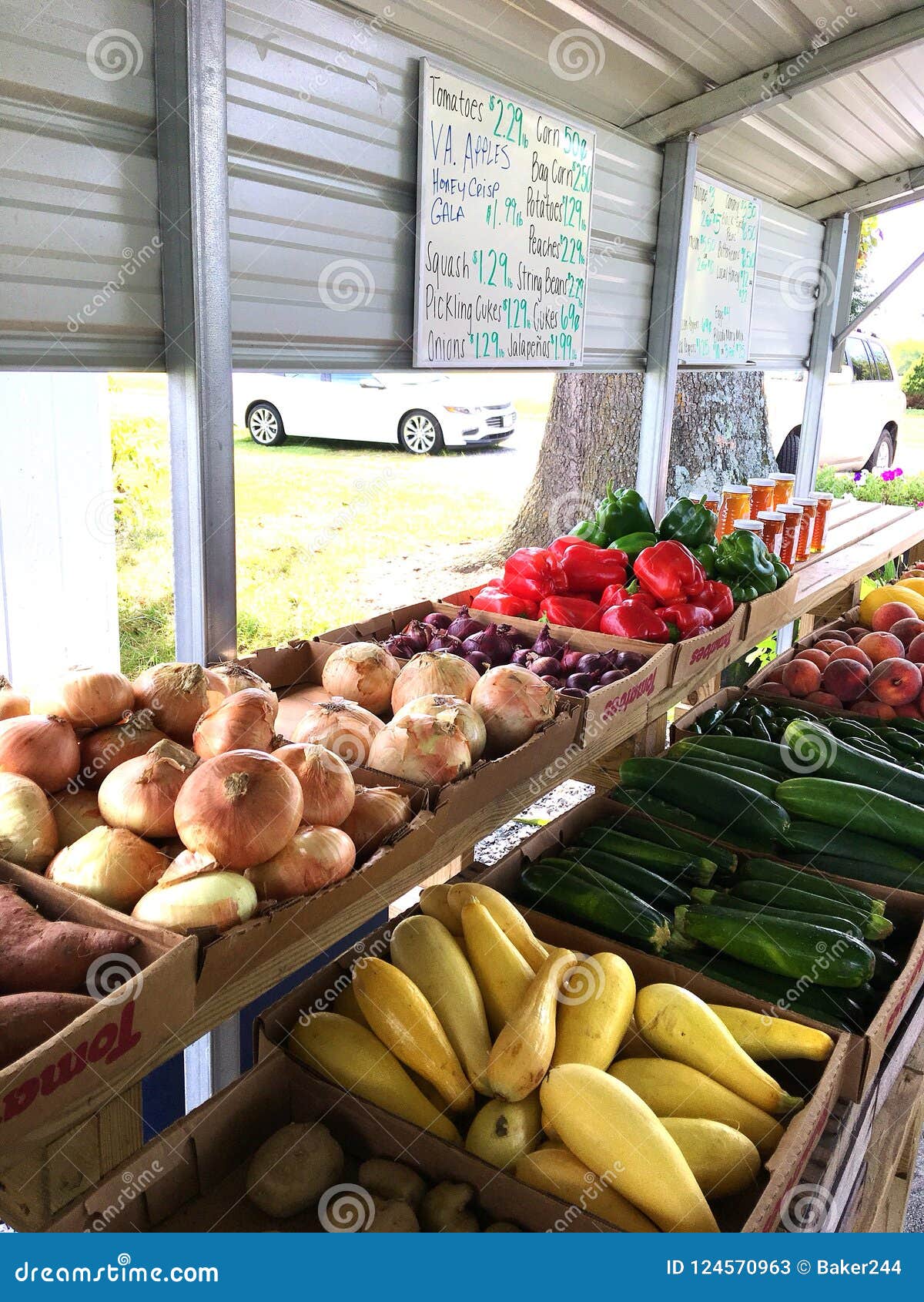 Local fruit stand stock image. Image of onions, local - 124570963