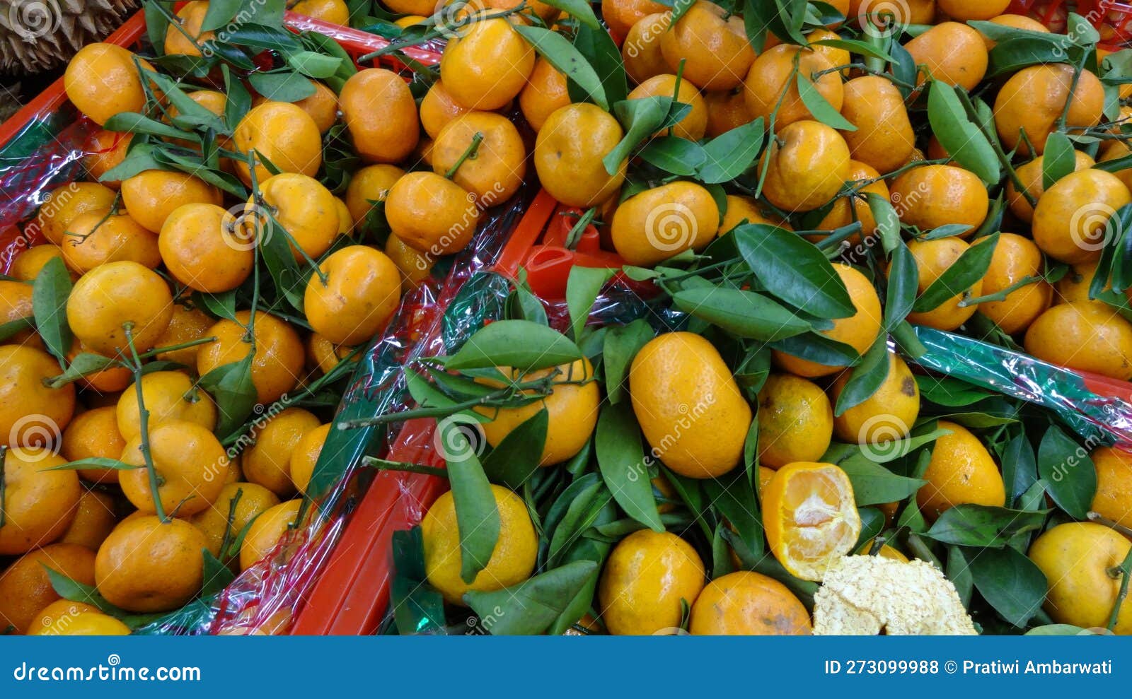 Local Oranges Ready To Be Juiced Stock Photo - Image of vegetarian ...