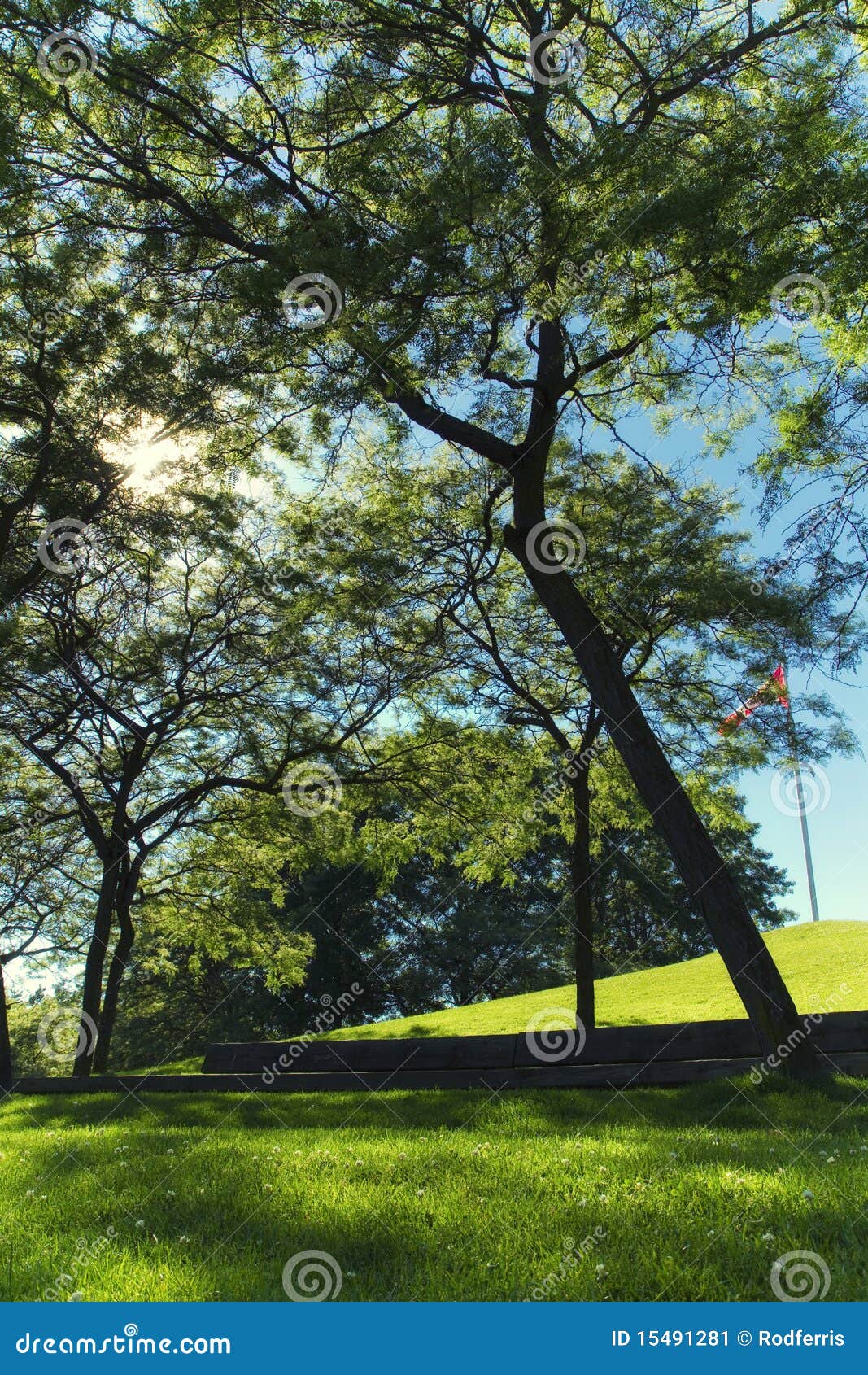 Local Park stock image. Image of light, herb, purity - 15491281
