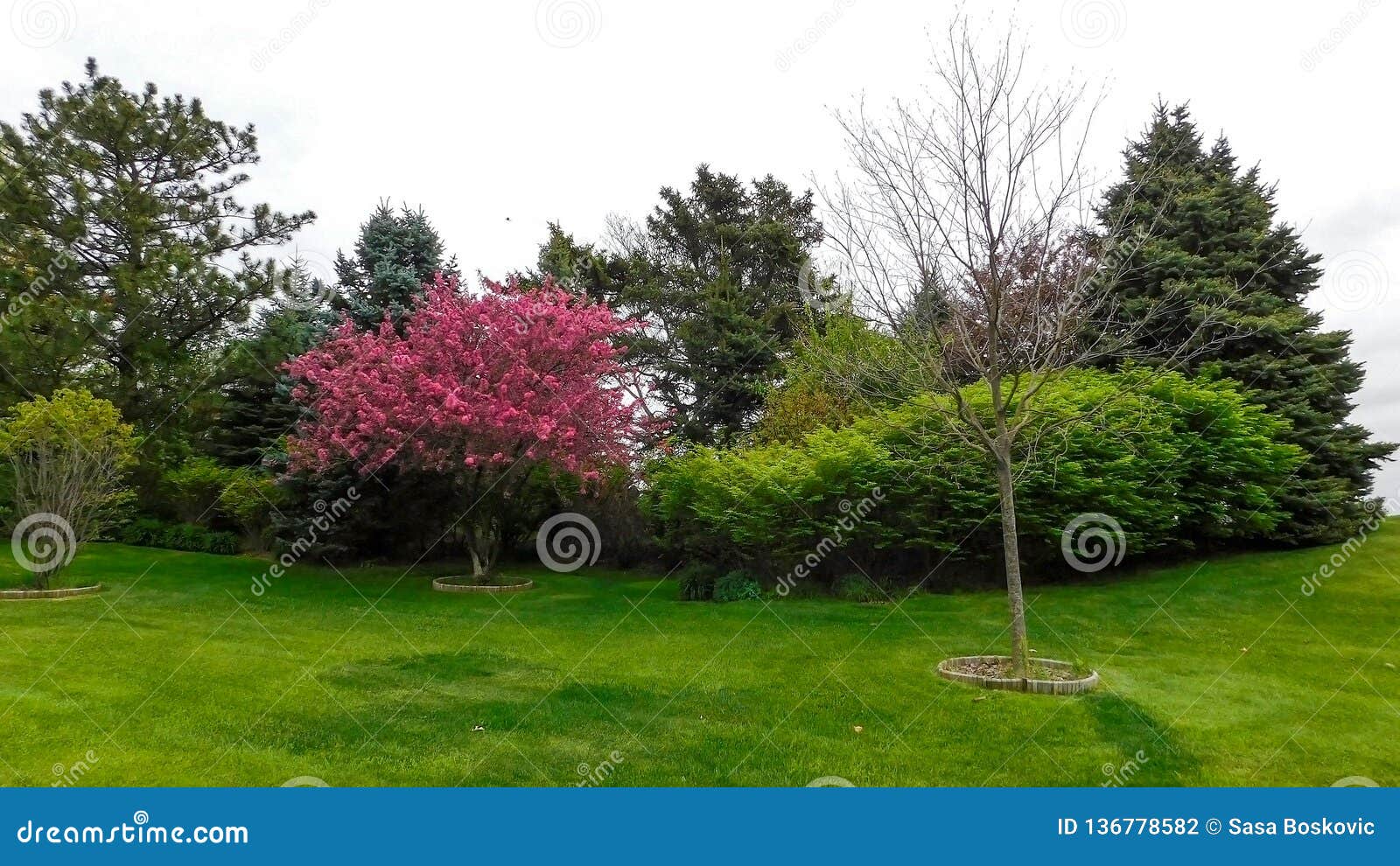 Local Park on a Cloudy Day in Spring Stock Photo - Image of cloudy ...