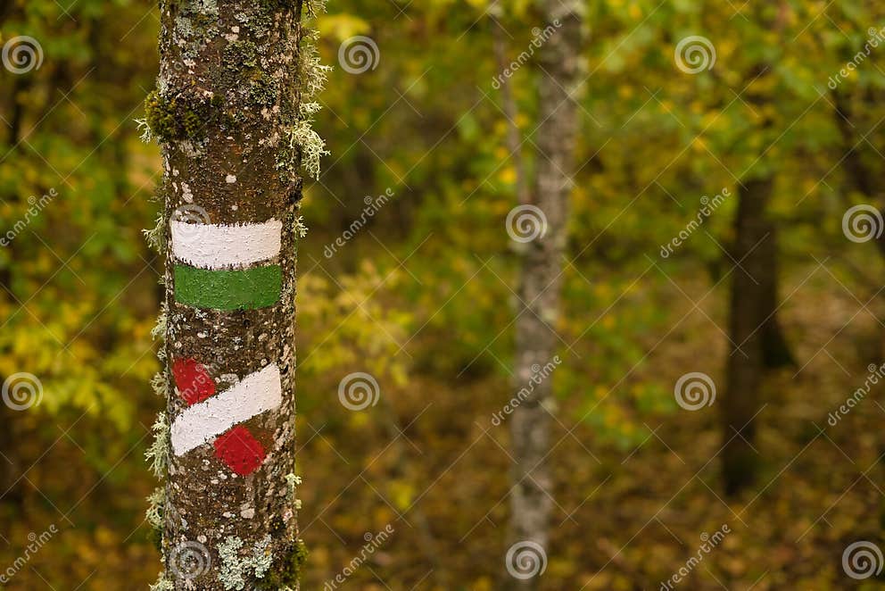 Local Path and Long Distance Path Stock Photo - Image of pathway ...
