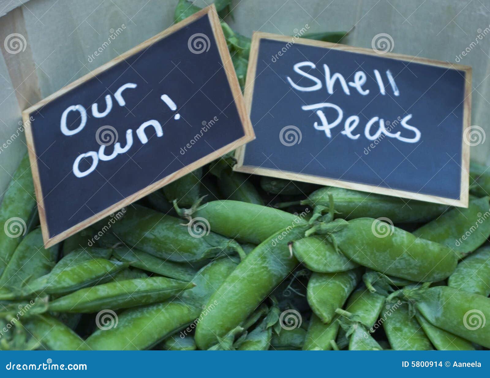 Local Peas stock photo. Image of shopping, sign, fresh - 5800914