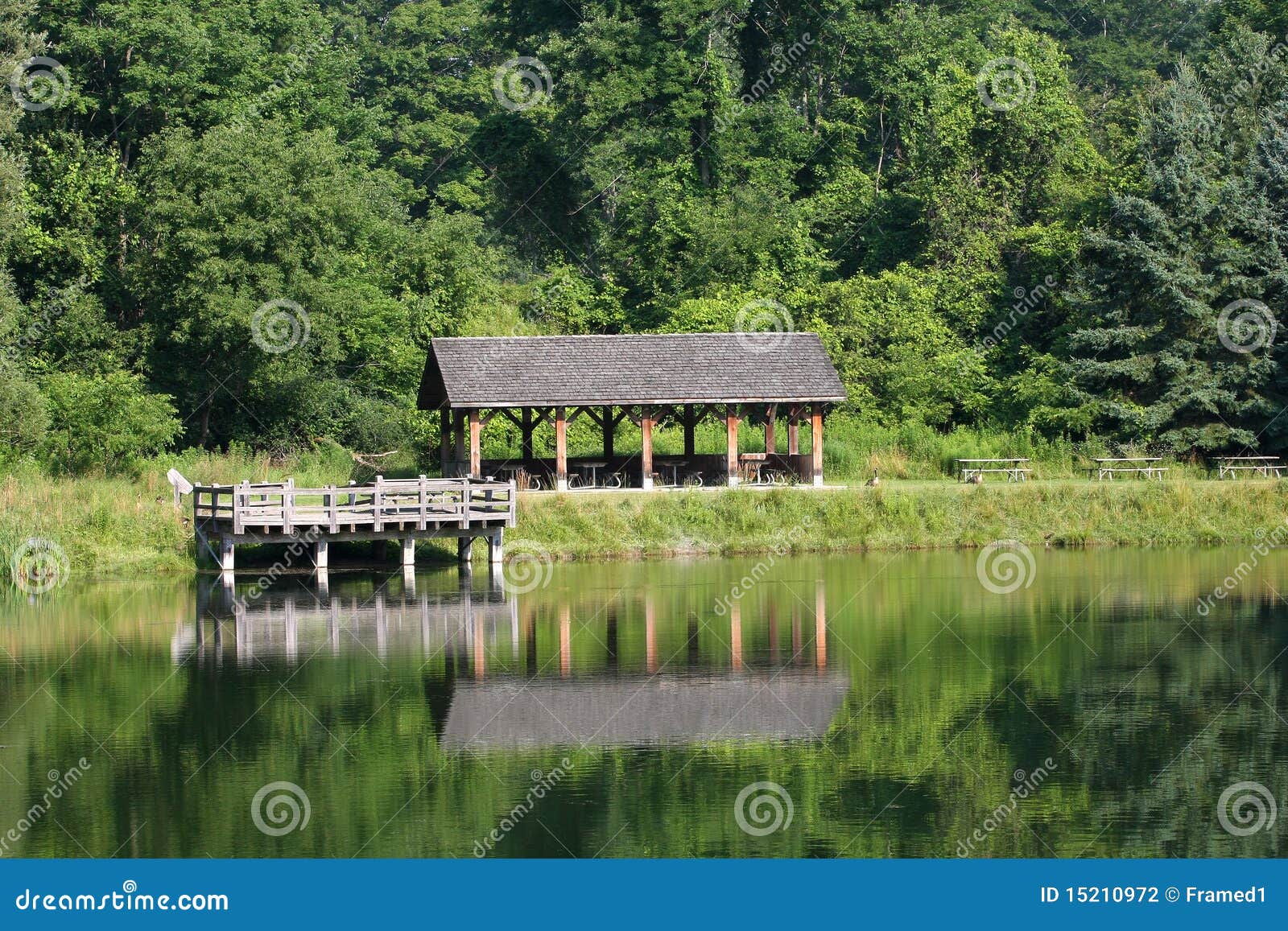 Local Pond in Conservation Area Stock Photo - Image of blue, beauty ...