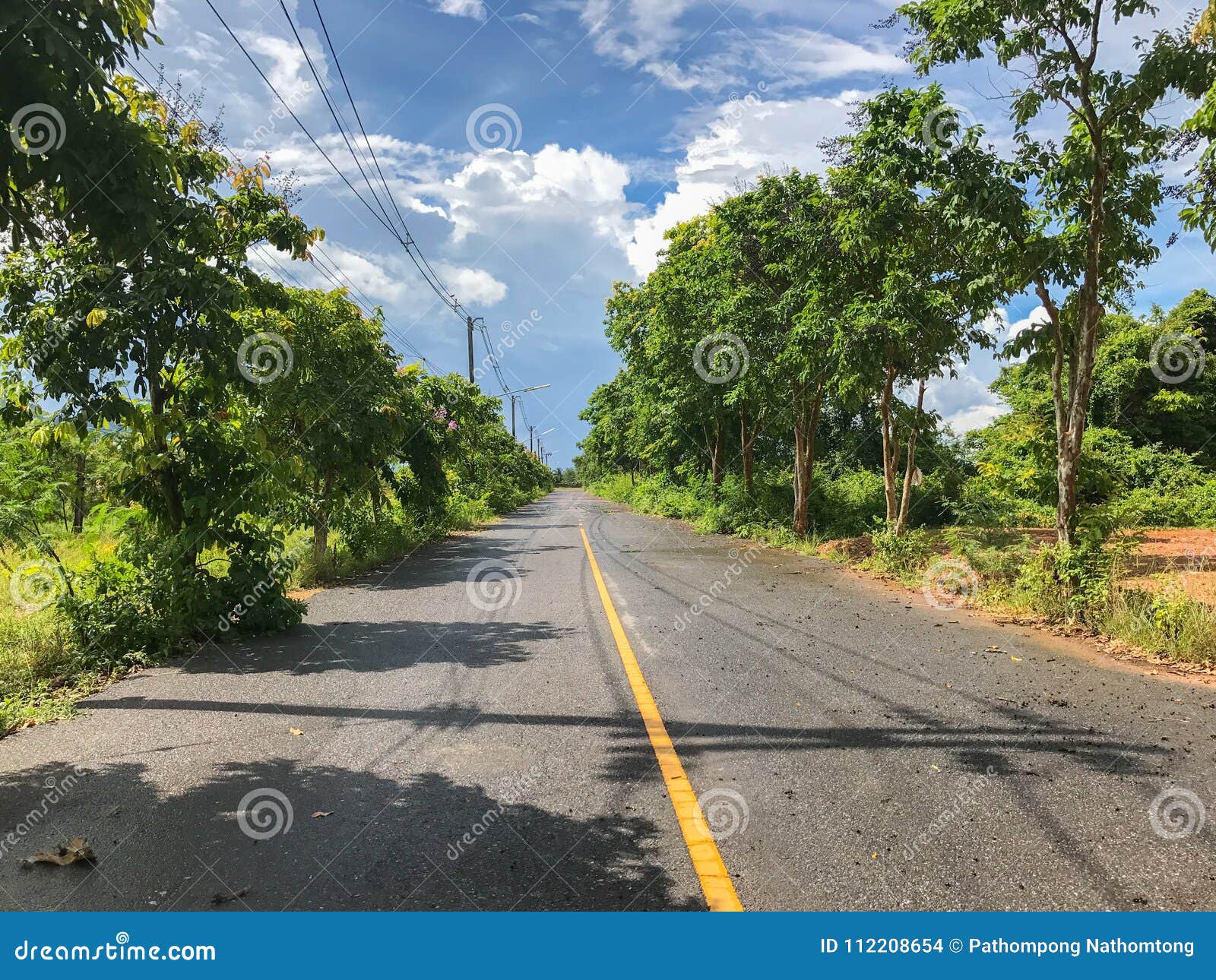 Local road with tree stock photo. Image of mountain - 112208654