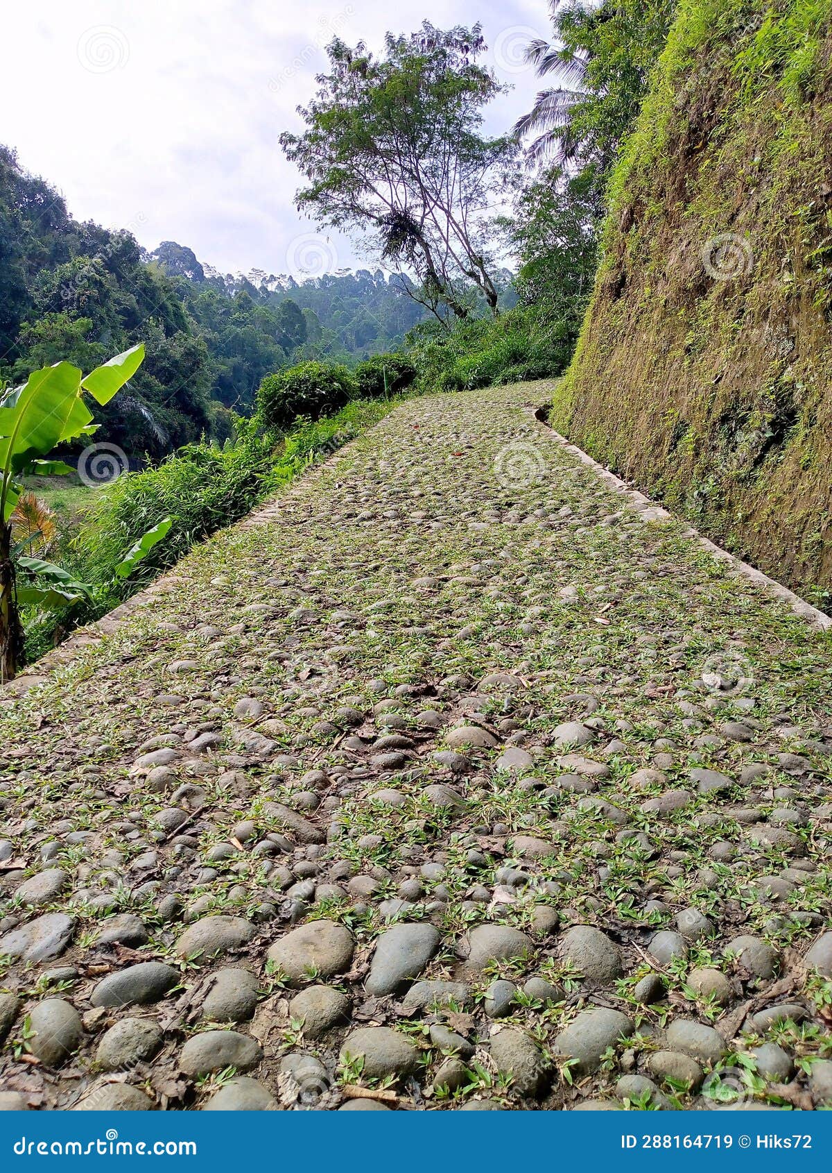 Local Rock Road in the Village Stock Image - Image of road, village ...