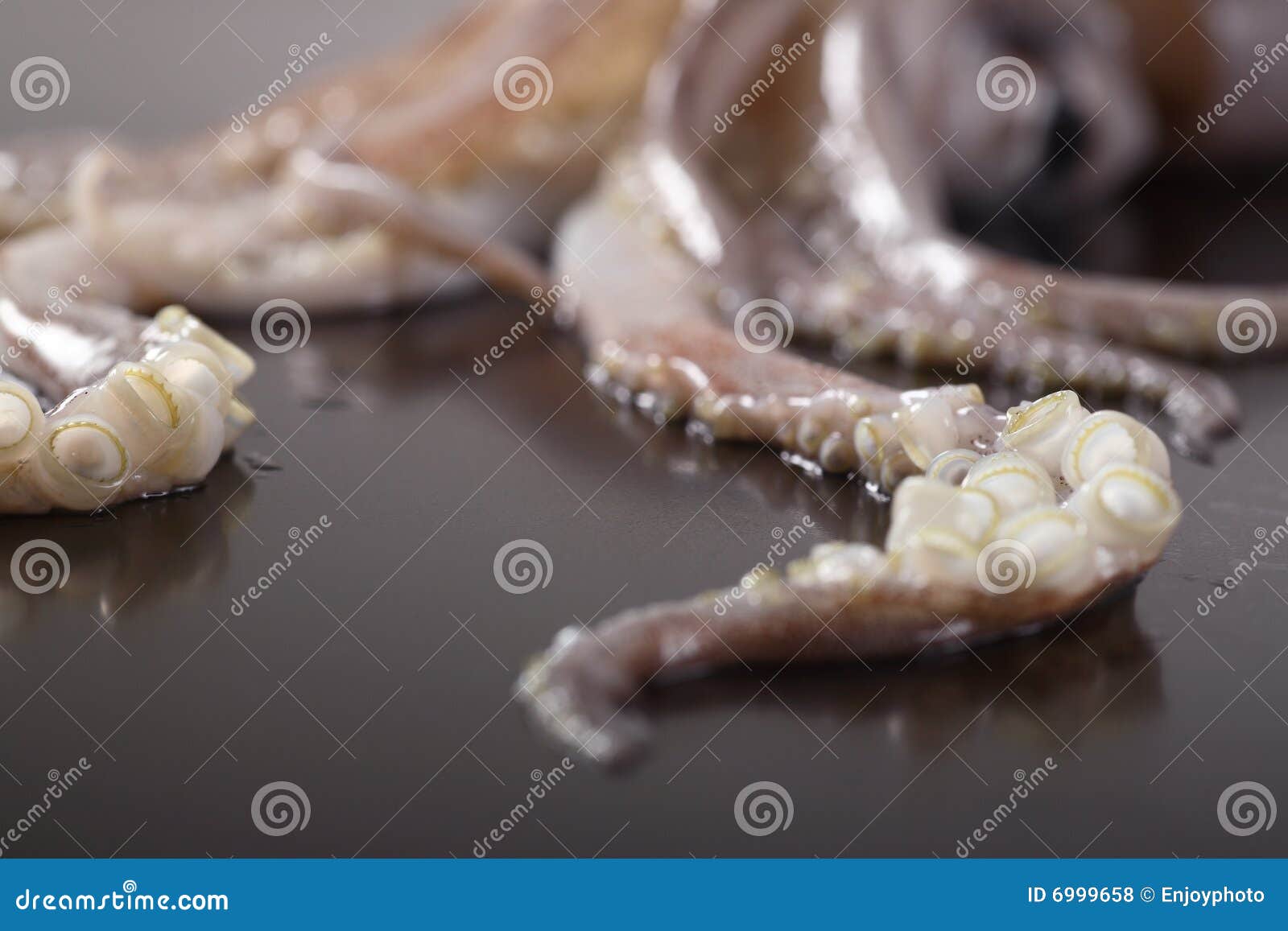 Local squid stock photo. Image of traditional, appetizer - 6999658