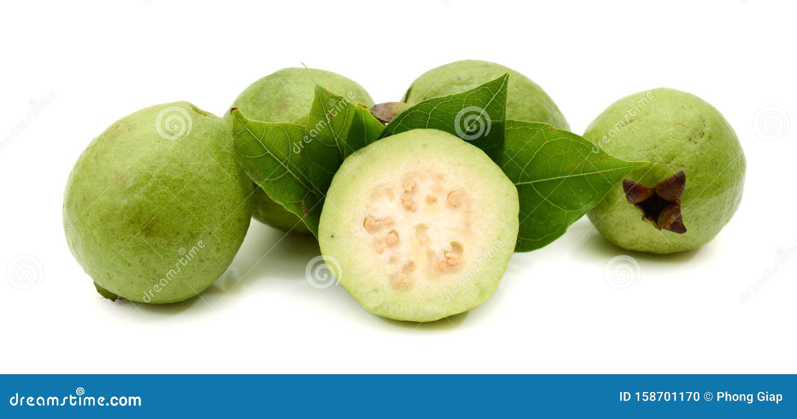 Guava. stock photo. Image of food, guajava, agriculture - 158701170
