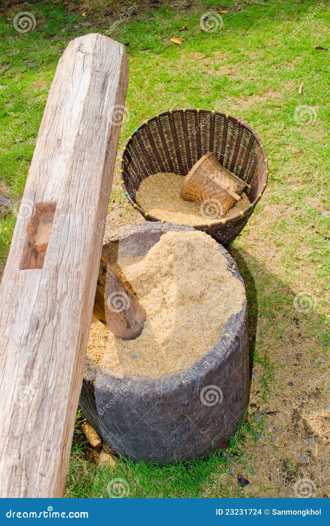 Local Thai Mortar for Pound Rice in the Past. Stock Photo - Image of ...