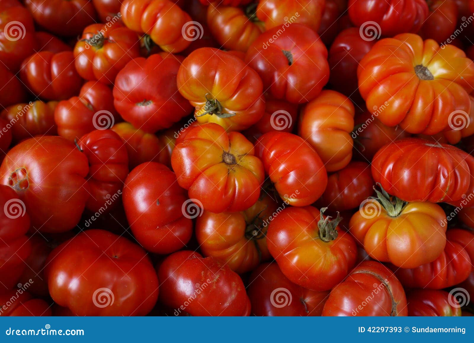 Local tomato stock image. Image of local, food, product - 42297393