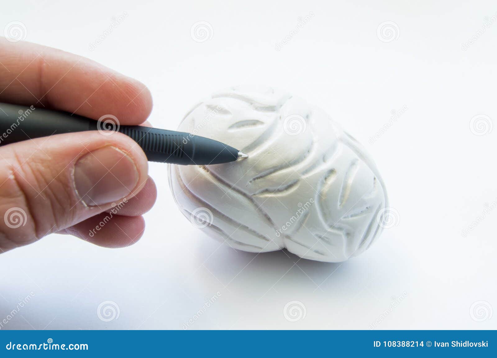 Localization of Pathology or Problems in Brain or Learning Process in ...