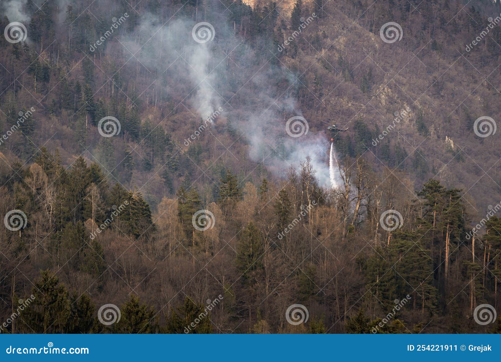 Localized Wildfire with the Helicopter Dropping Water Stock Image ...