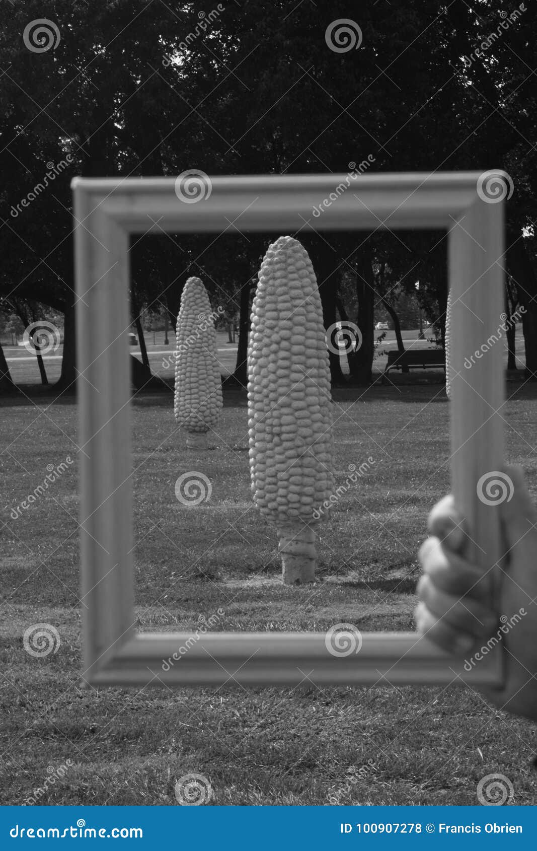 Cornhenge 4framed stock photo. Image of public, 4framed - 100907278