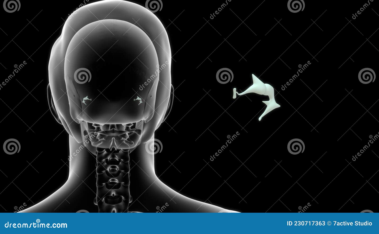 Malleus Cartoons, Illustrations & Vector Stock Images - 546 Pictures to ...