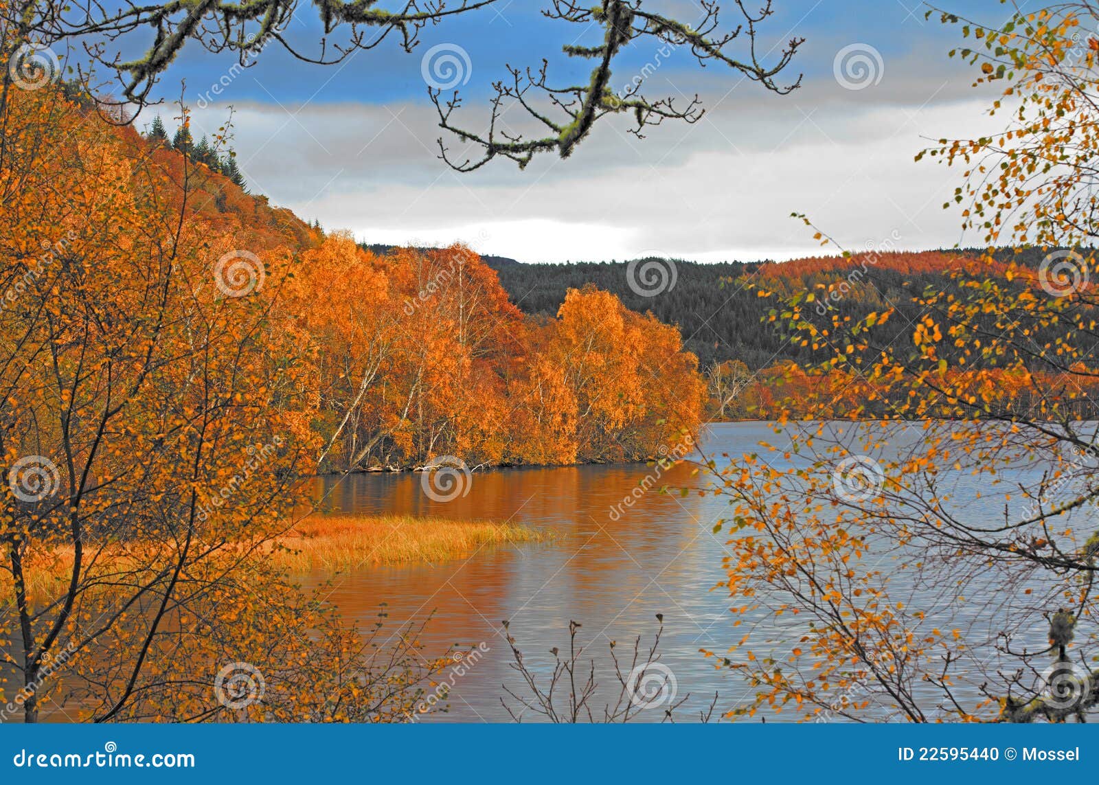 Loch Achilty in Autumn stock photo. Image of landscape - 22595440