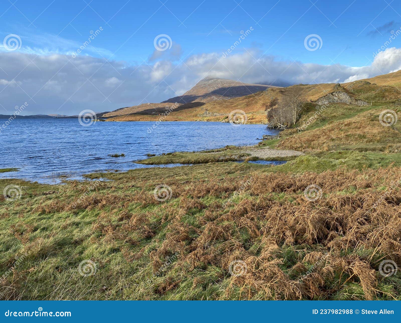 Loch Assynt - Scotland stock photo. Image of travel - 237982988