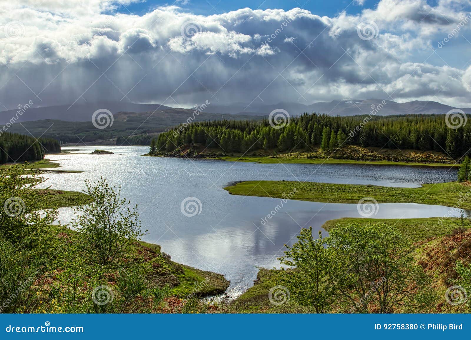 Loch Laggan stock photo. Image of pine, highlands, trees - 92758380