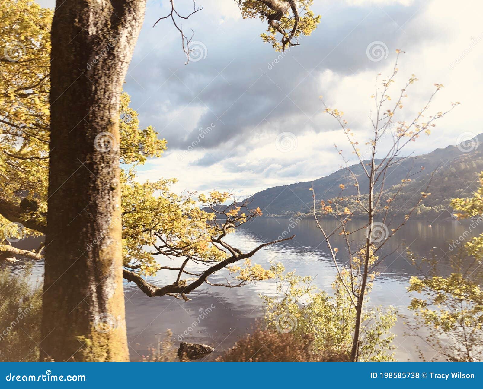 Loch Lomond in Autumn stock photo. Image of loch, sunny - 198585738