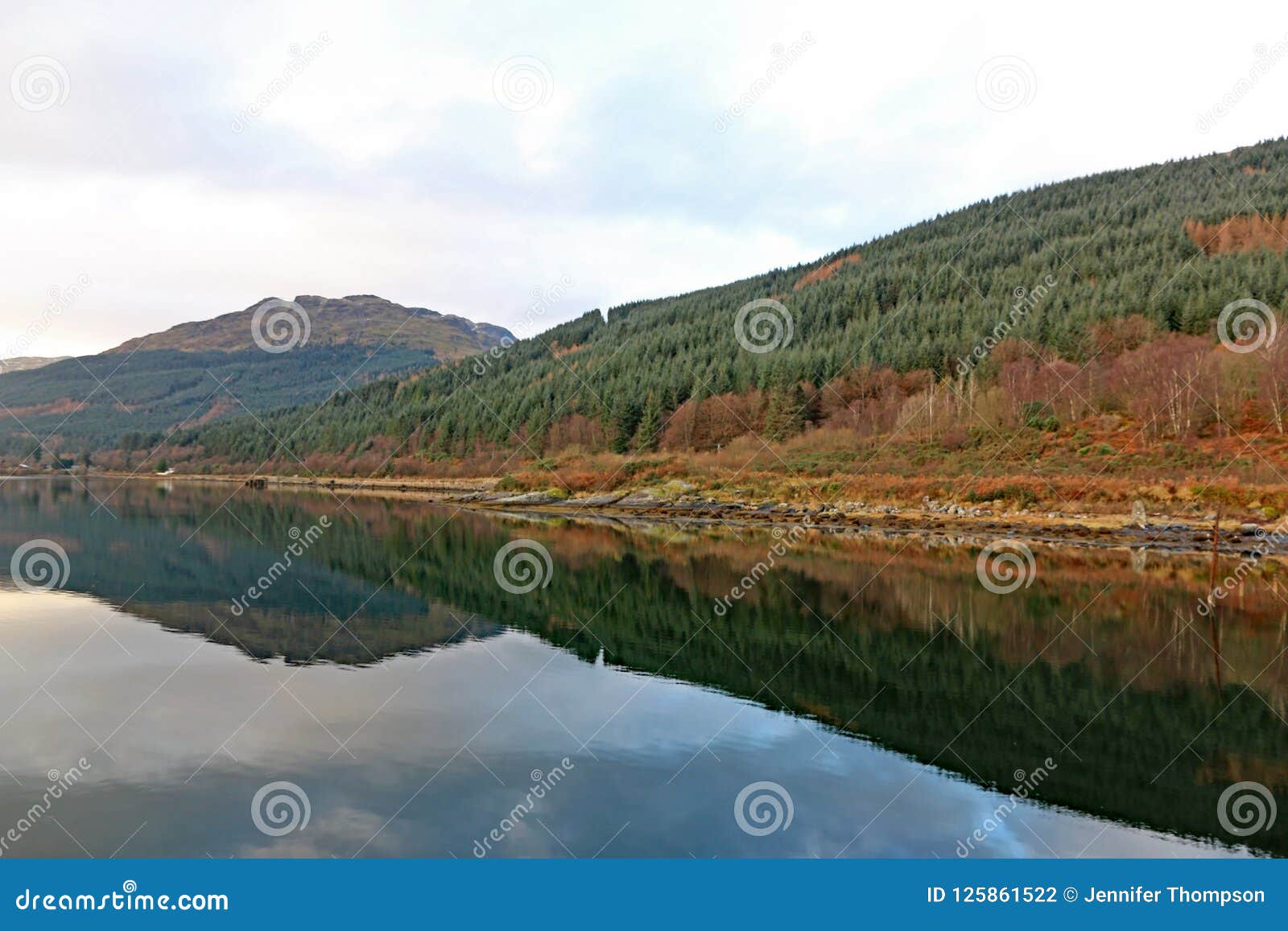 Loch Long, Scotland stock photo. Image of trees, water - 125861522