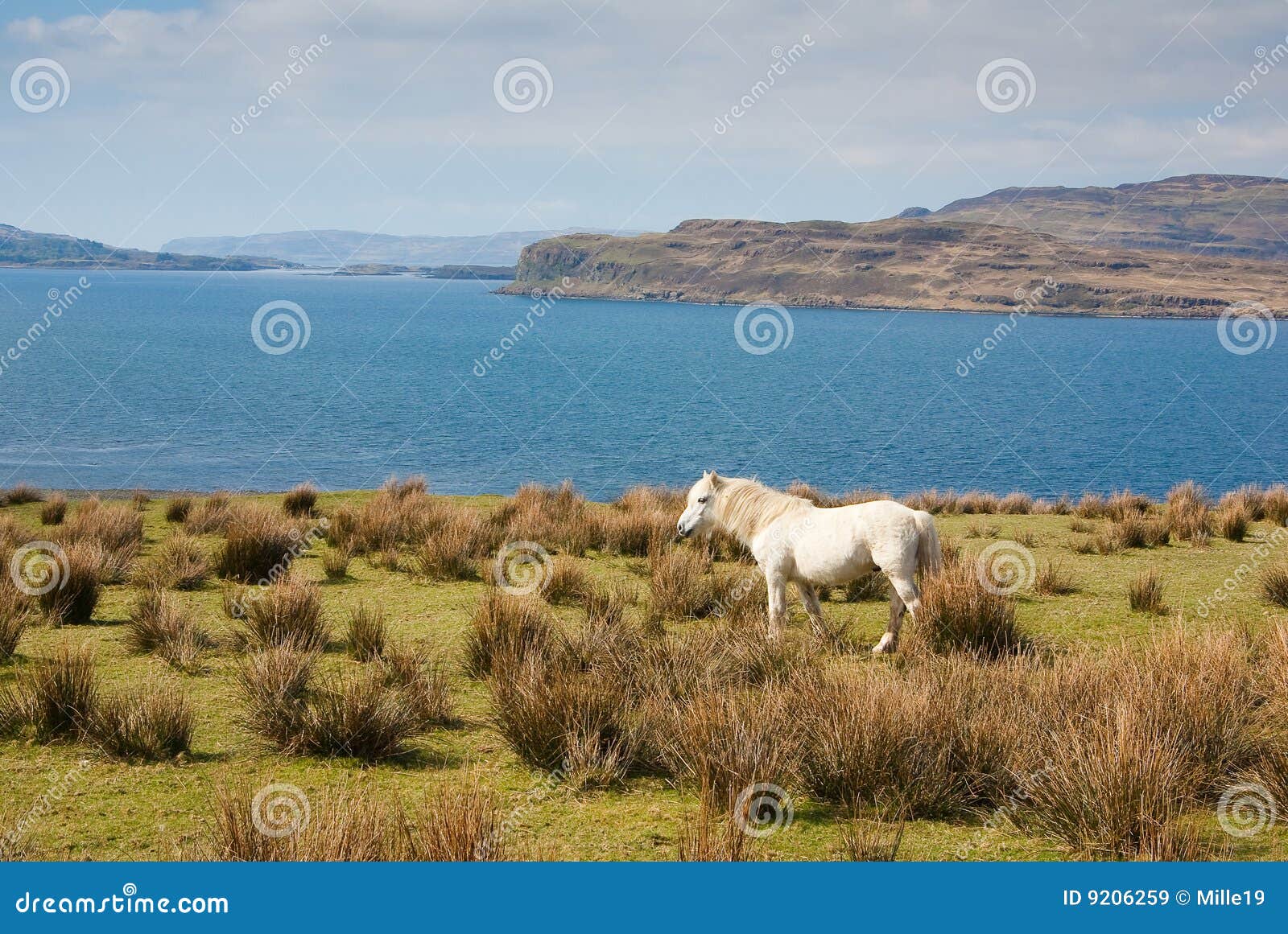 Loch Na Keal stock image. Image of keal, white, unspoilt - 9206259