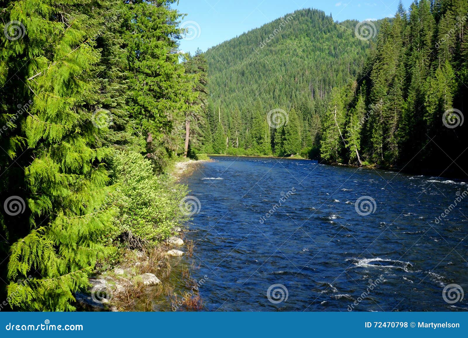 Lochsa River - Idaho stock photo. Image of stream, wilderness - 72470798