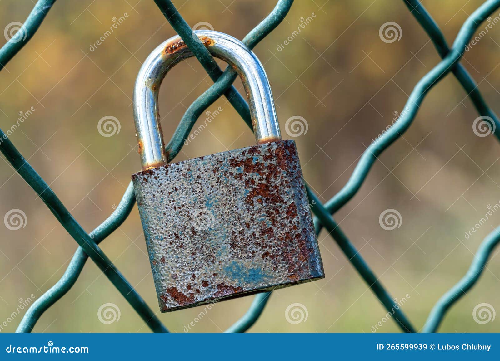 Lock As a Symbol of Love Locked on the Mesh Stock Image - Image of ...