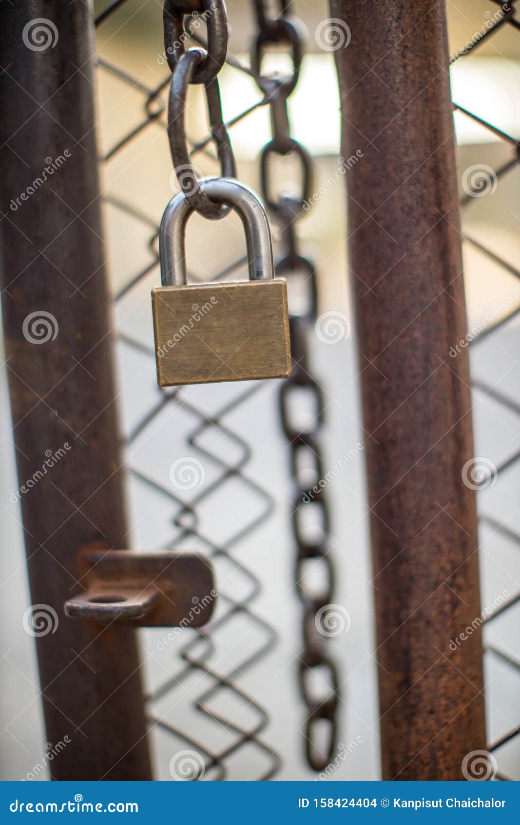 Lock on a Chain Link Security Fence. Chicken Wire Fence Gate is Locked ...