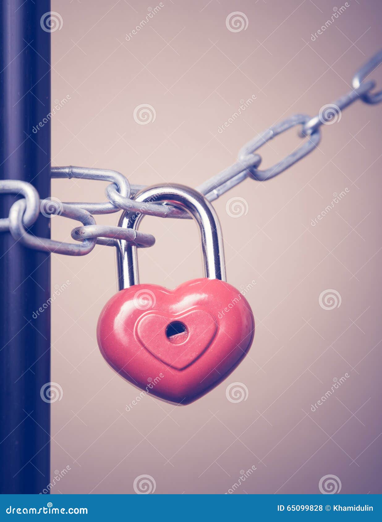 Lock in the Form of a Heart Stock Photo - Image of tslosed, love: 65099828