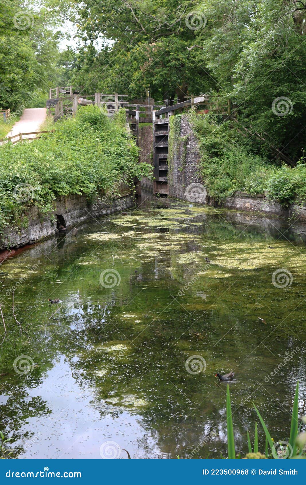 Lock Gates on the Monmouthshire To Brecon Canal 14 Locks Stock Photo ...