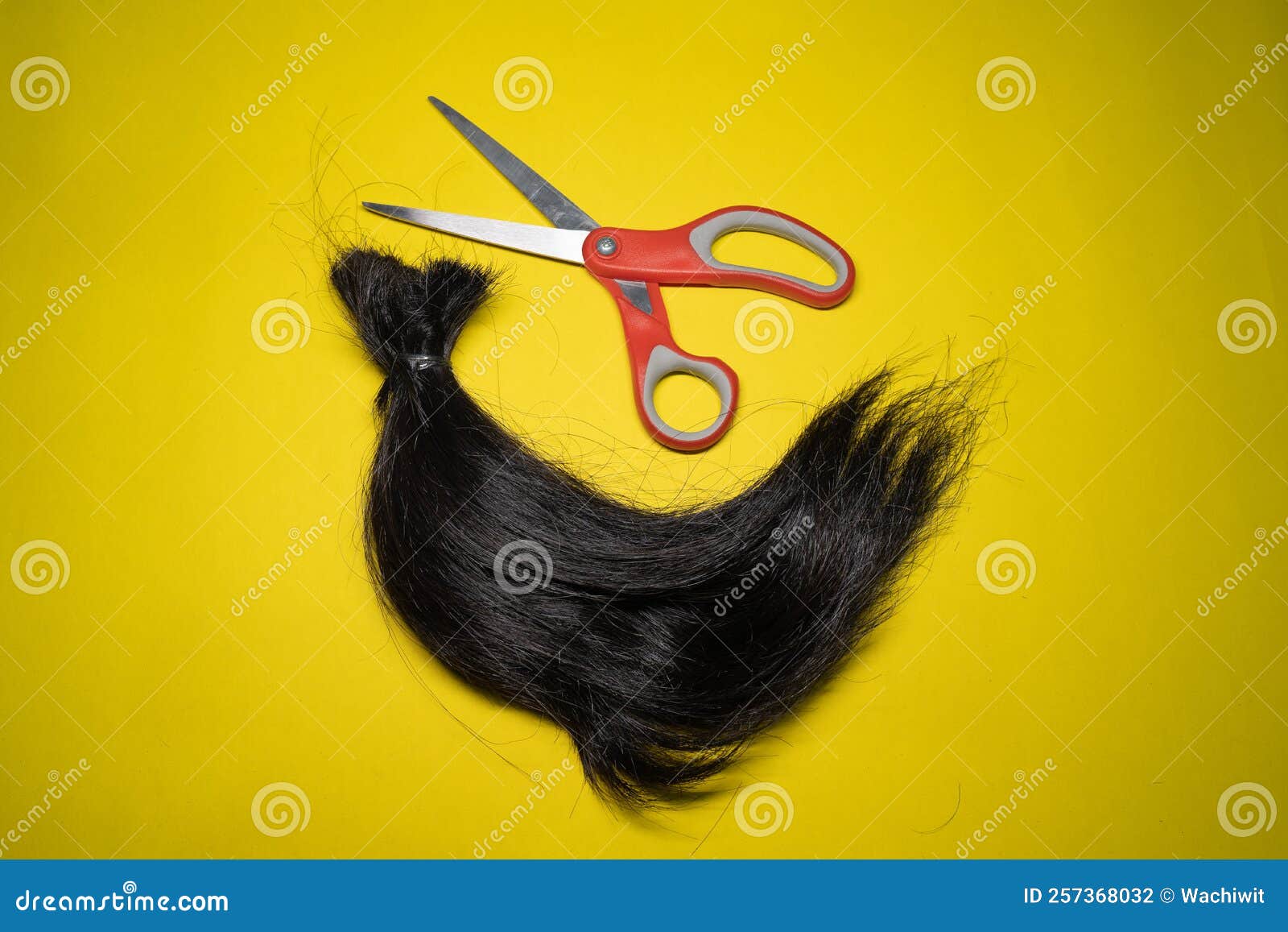 A Lock of Hair and Scissors Stock Photo - Image of human, help: 257368032