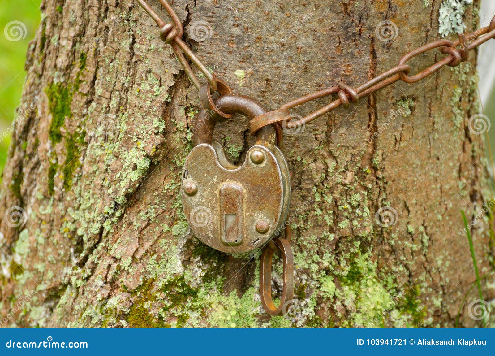 Lock Hanging on the Iron Chain. Stock Image - Image of safety, safe ...
