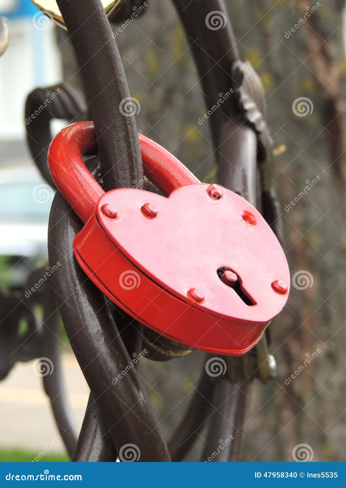 Lock of love stock photo. Image of marriage, indestructible - 47958340