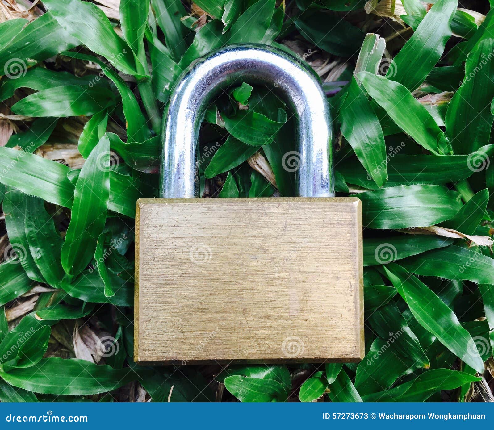 Lock stock image. Image of green, master, glod, lock - 57273673
